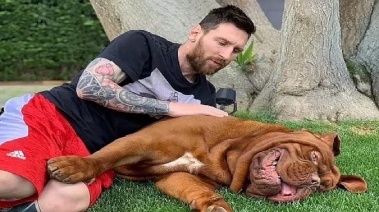 Cómo se llaman y de qué raza son los perros de Lionel Messi y su ...